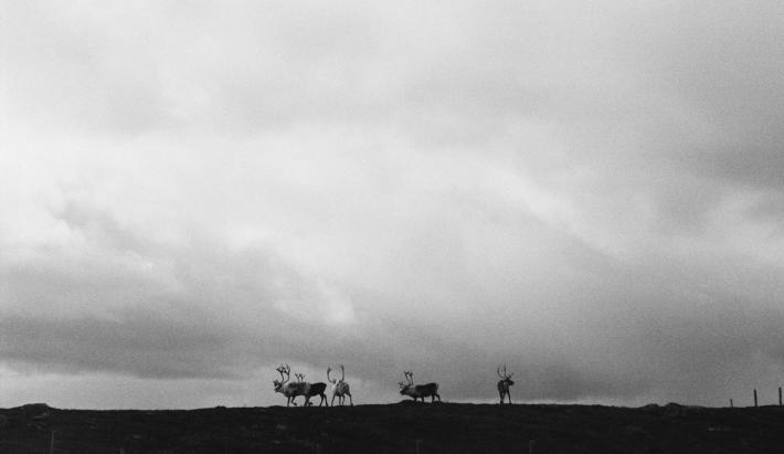 Eight Seasons in Sápmi, the Land of the Sámi People - Kurt Seaberg